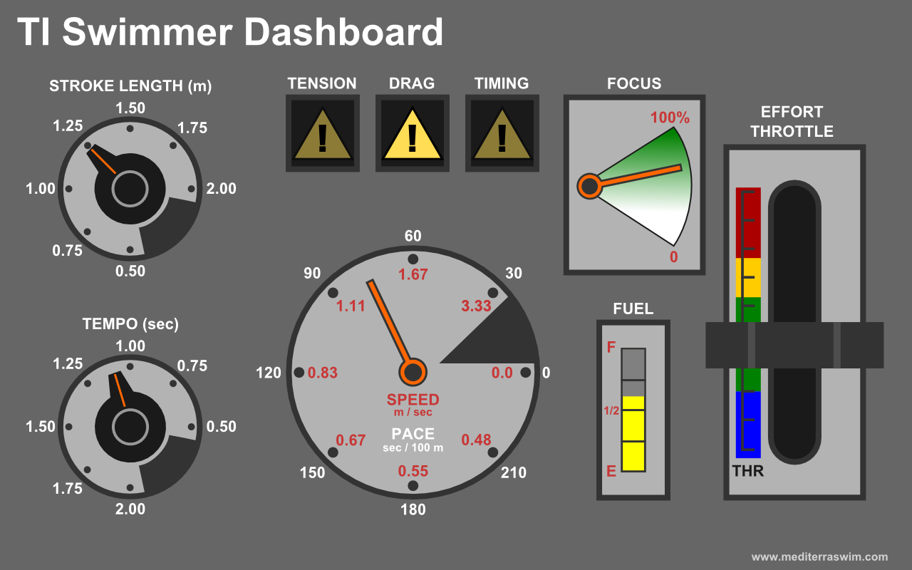 Swimmer Dashboard | Mediterra Swim